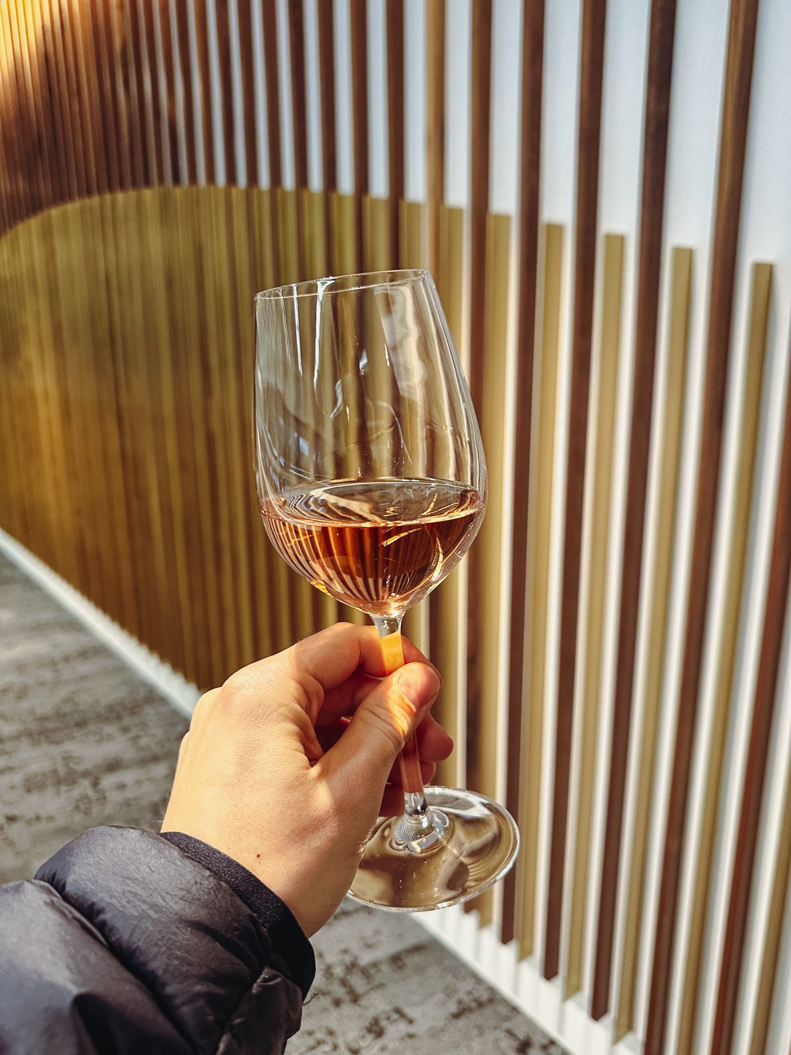 How to book an extra seat on a flight - Planely Alex